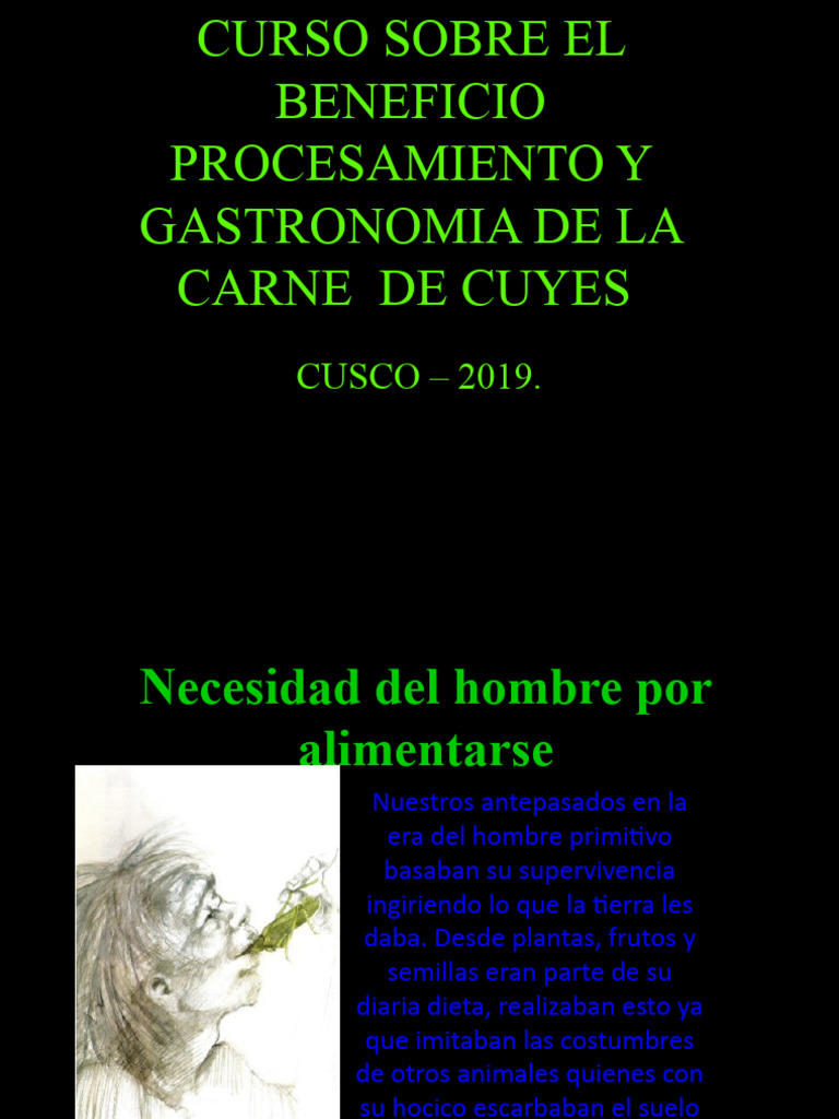 Demostracion de Metodo | PDF | Alimentos | Carne