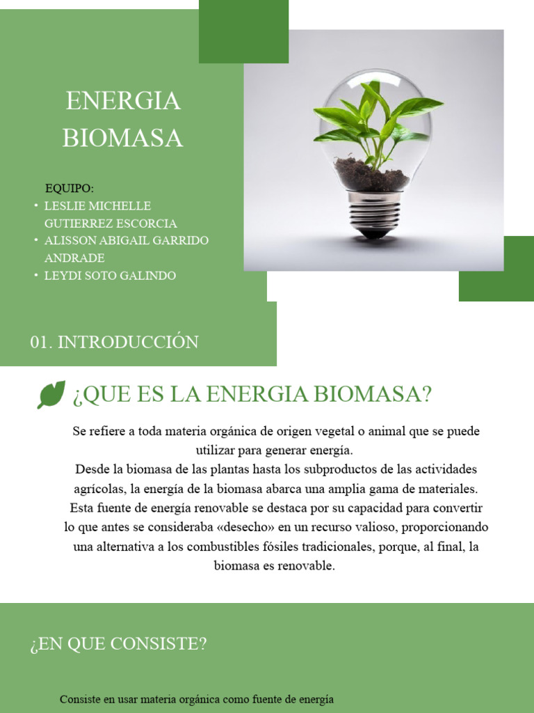 Presentacion Biomasa | PDF | Biomasa | Energía renovable