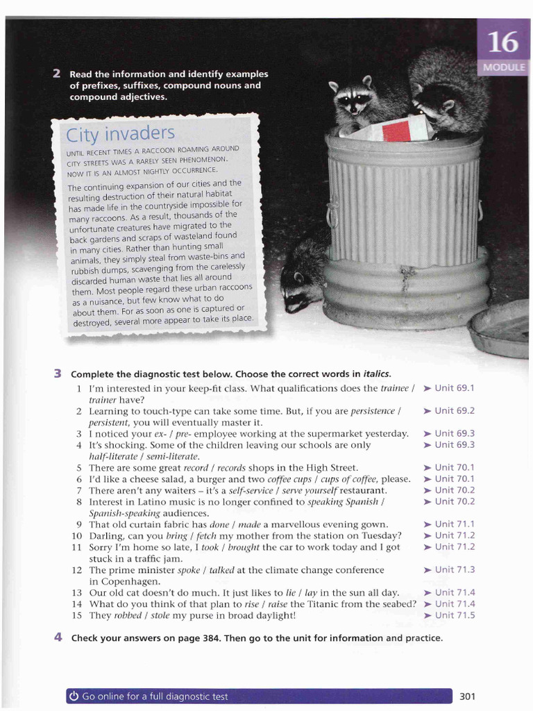 My Grammar Lab - Removed | PDF