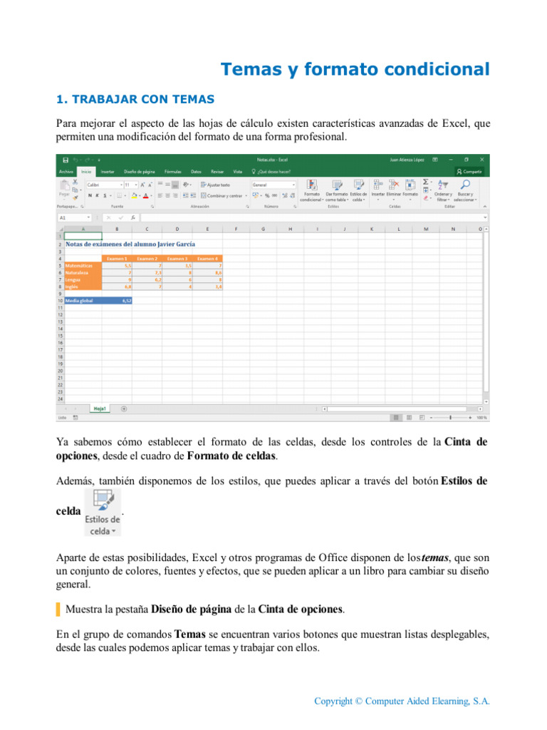 Lec11 - TEMAS Y FORMATO CONDICIONAL | PDF | Microsoft Excel | Hoja de ...