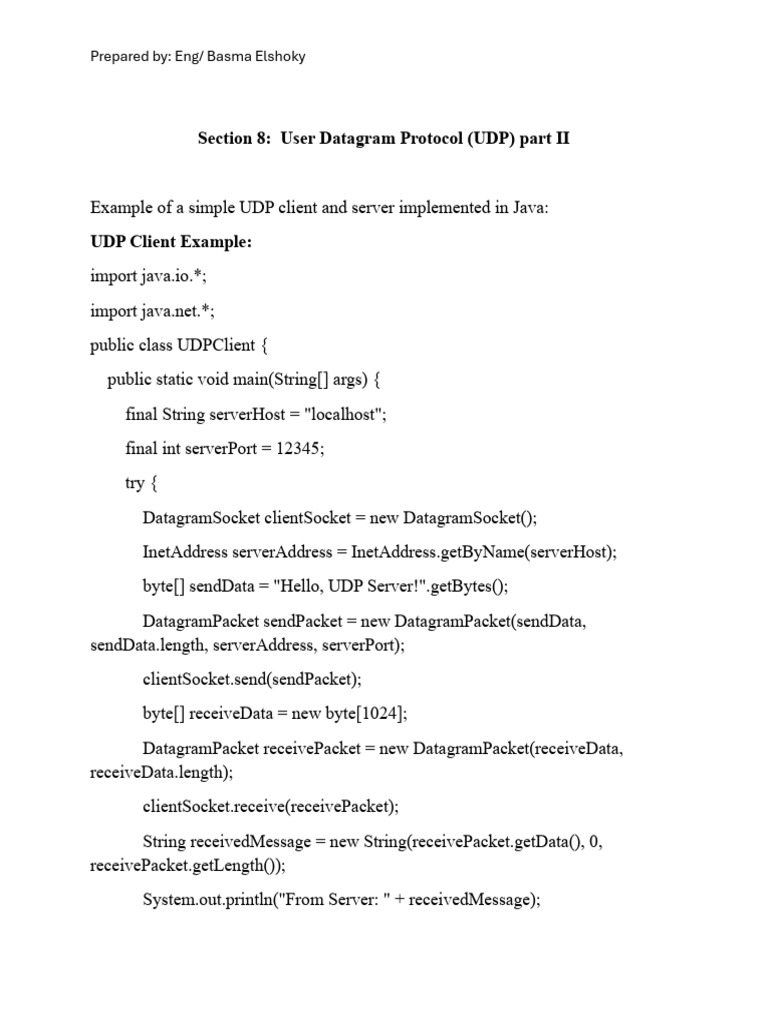 Network Programming Section 8 | PDF | Client–Server Model | Server (Computing)