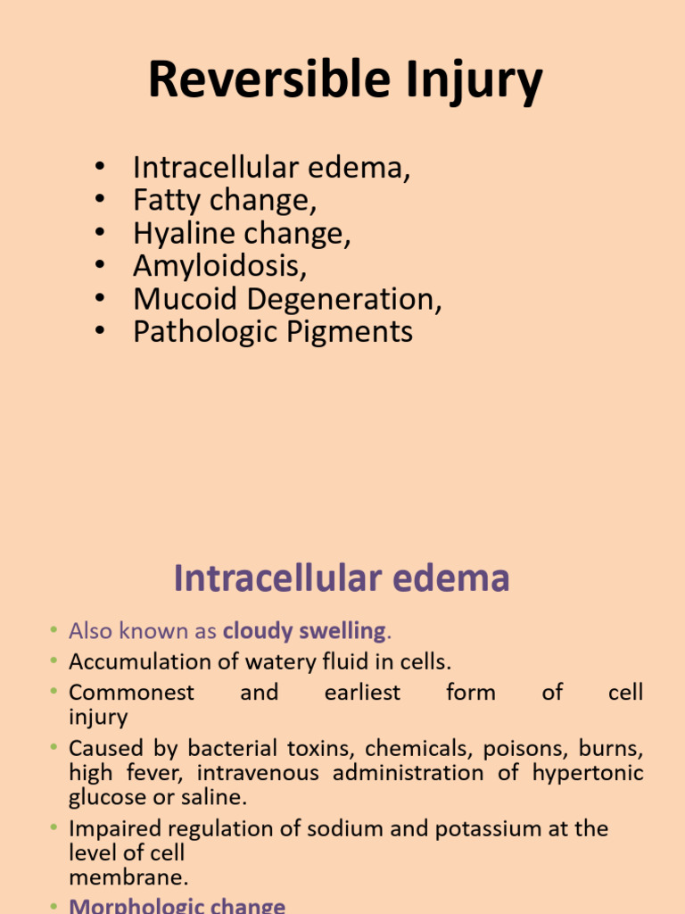 Types of Reversible and Irreversible Cell Injury | PDF | Apoptosis ...