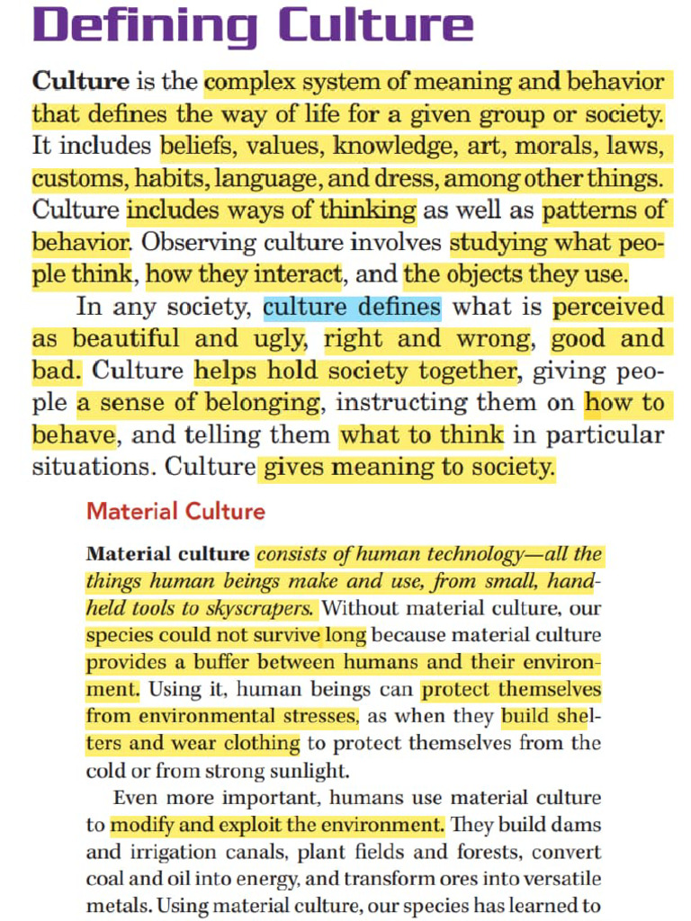 Culture Chapter 2 | PDF