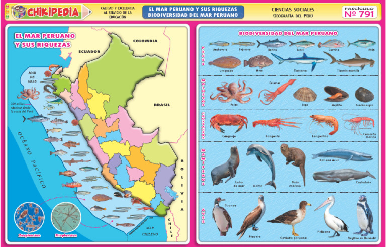 791 El Mar Peruano y Sus Riquezas | PDF