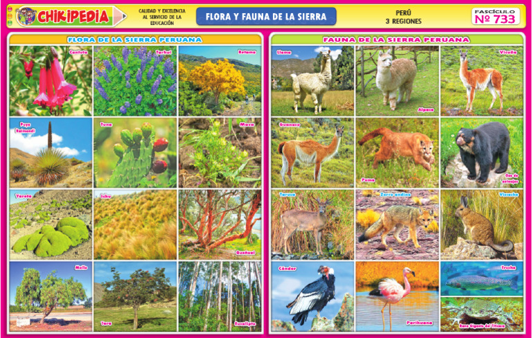 733 Flora y Fauna de La Sierra Peruana | PDF