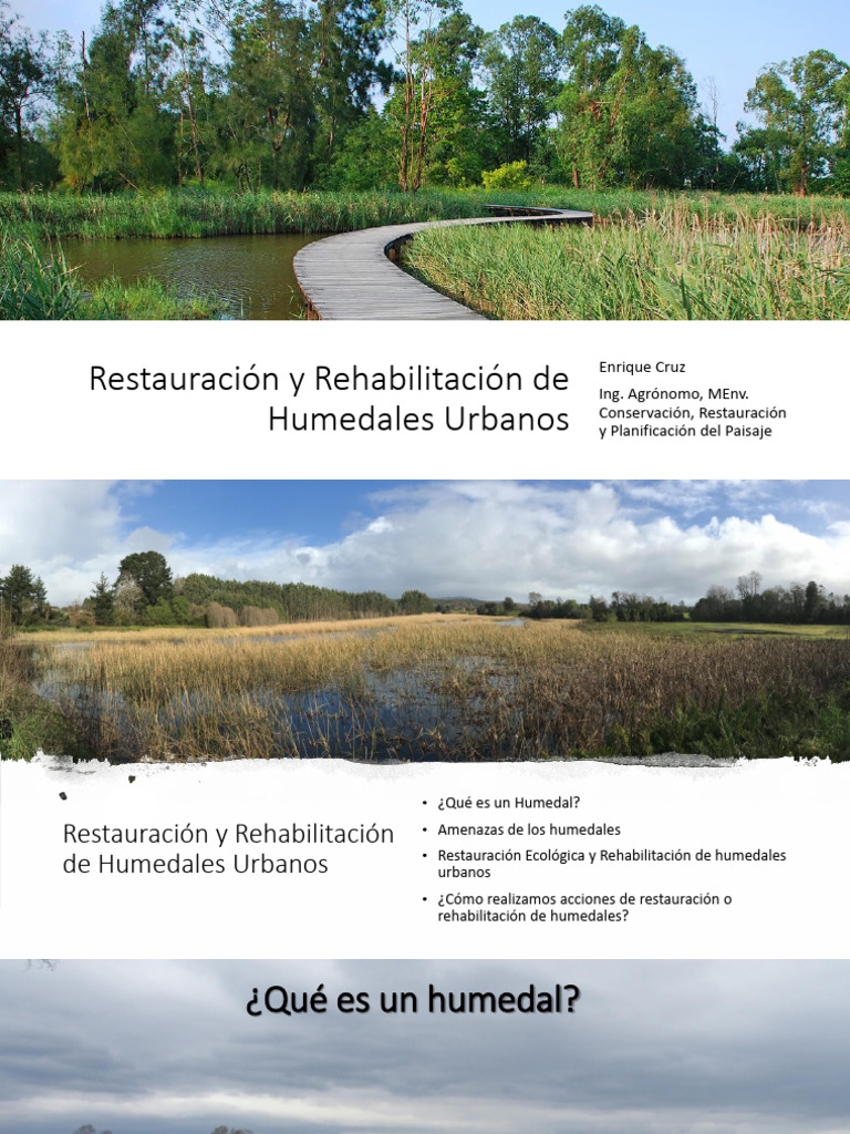 Restauración de Humedales Urbanos | PDF | Humedal | Agua