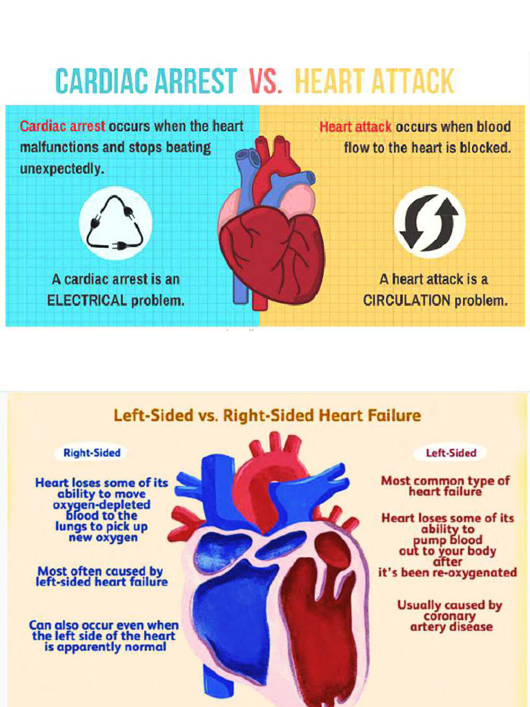 Heart | PDF