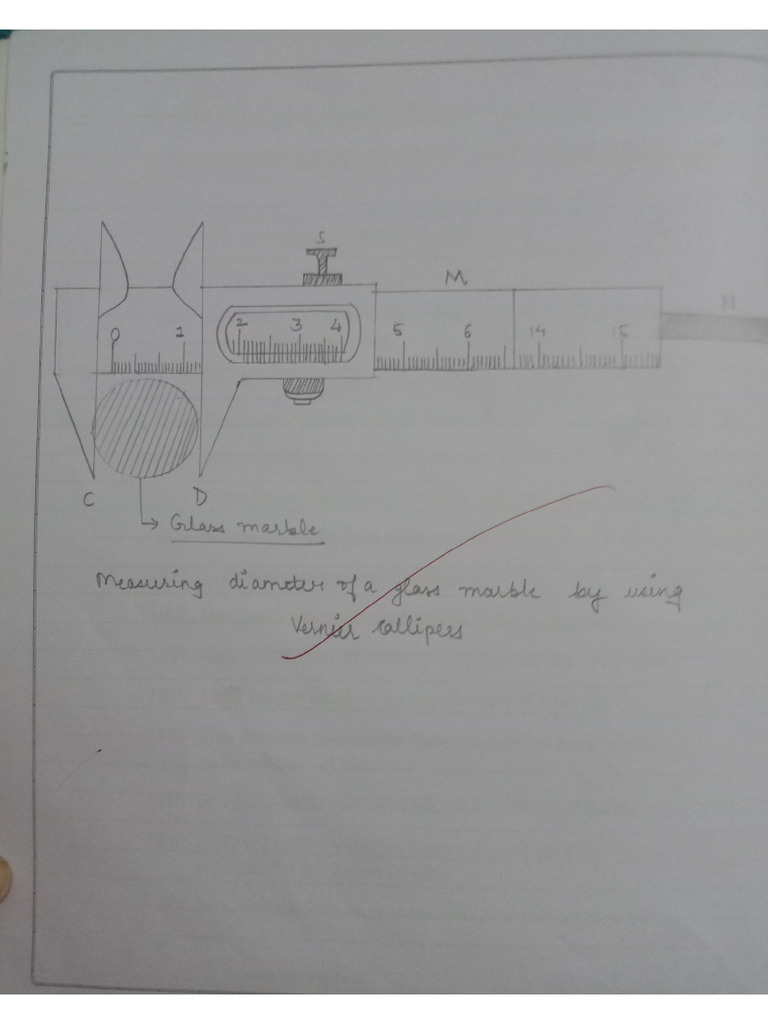 Class 11 Practical 1,2 & 3 | PDF