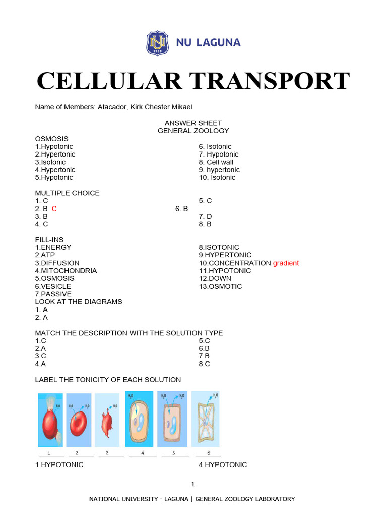 Genzoo-Lec-Cell Transport-Answer-Sheet | PDF | Osmosis | Life Sciences