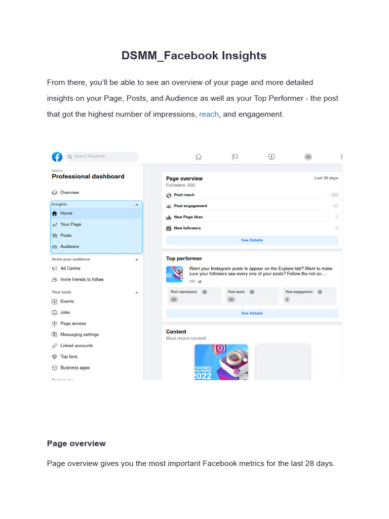 DSMM_Facebook Insights | PDF | Facebook | Software