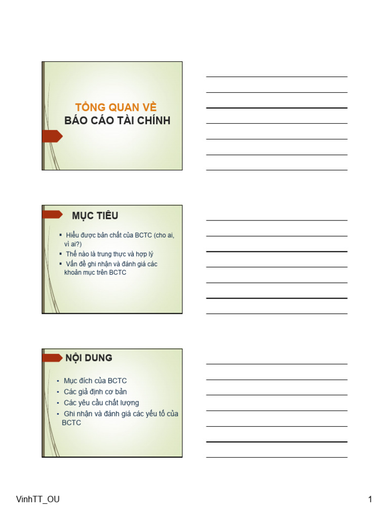 Kiem Toan 1 Chuong 1 Tong Quan Ve Bao Cao Tai Chinh Tran Thi Vinh | PDF