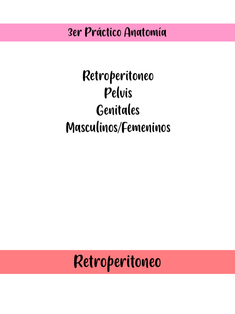 3er Práctico Anatomía Morfo | PDF | Útero | Vagina