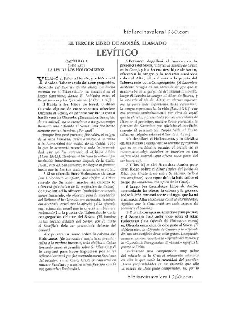 LEVITICO | PDF
