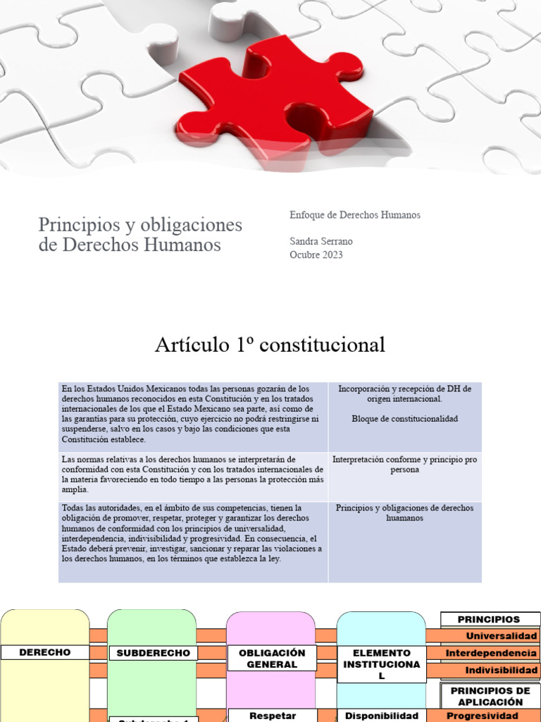 02 Bis Principios de Los DH | PDF | Derechos humanos | Igualdad social
