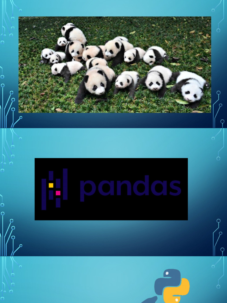 Pandas | PDF | Computing | Computer Programming Pandas | PDF | Computing | Computer Programming
