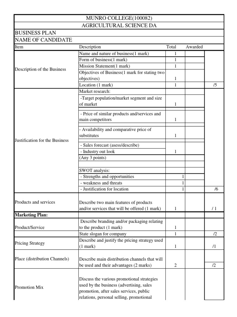 Rubric For Business Plan | PDF | Pricing | Sales