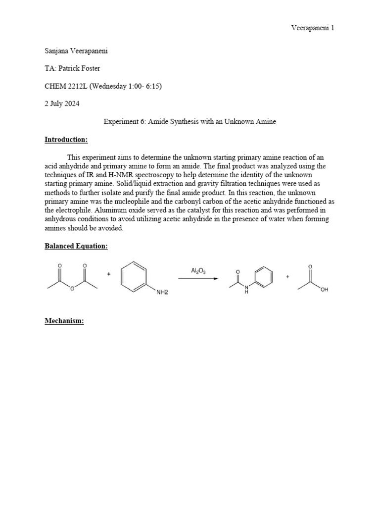 Uga Ochem 2 Lab Report 6 | PDF | Acetic Acid | Amine