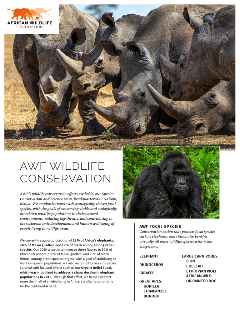 African Wildlife Conservation Efforts | PDF | Poaching | Crime & Violence