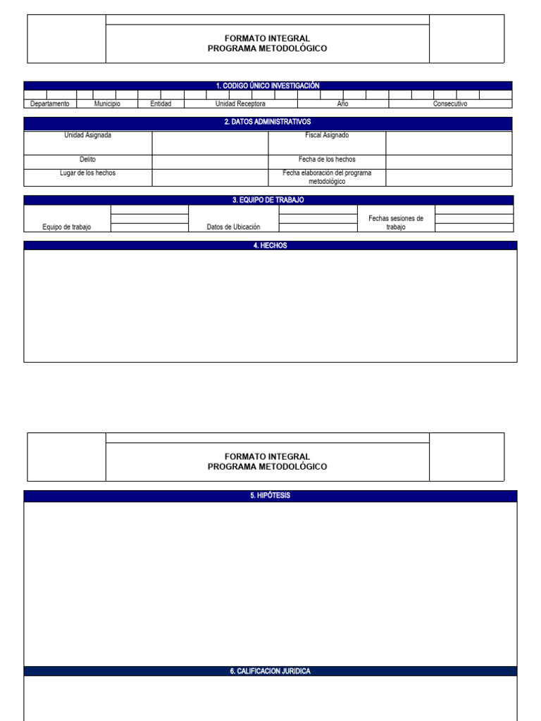Formato Programa Metodológico Integral | PDF