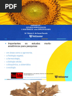Filotaxia | PDF | Folha | Morfologia vegetal