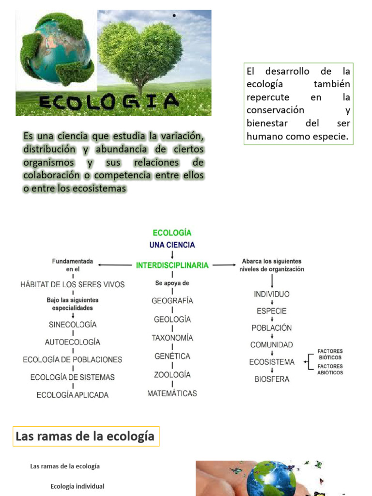 Segundo Tema - Ecología | PDF | Ecología | Organismos