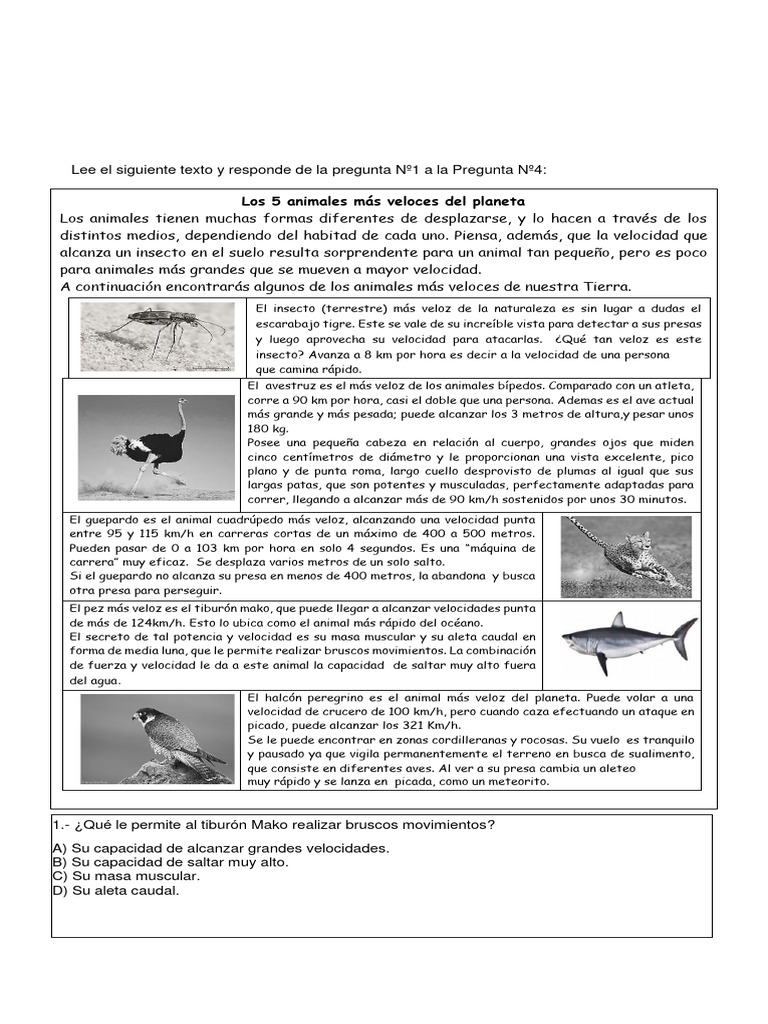 Los 5 animales más veloces del planeta | PDF | Depredación | Zoología