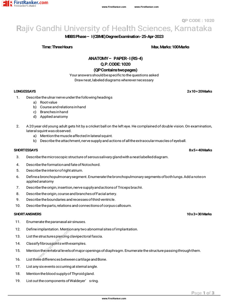 Anat Paper 1 | PDF | Vein | Anatomy