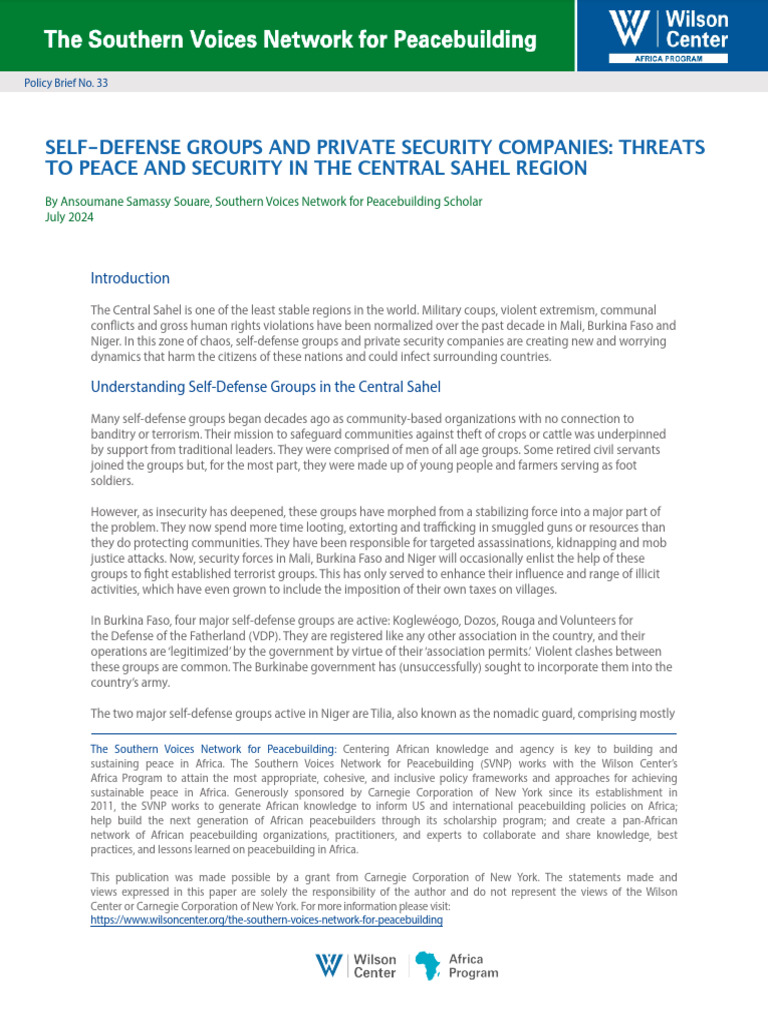 Self-Defense Groups and Private Security Companies: Threats to Peace and Security in the Central ...