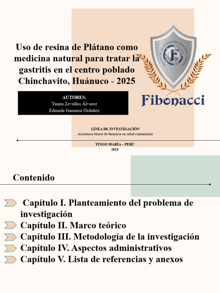 Formal and Minimalist Thesis Defense Program Brochure by Slidesgo | PDF ...