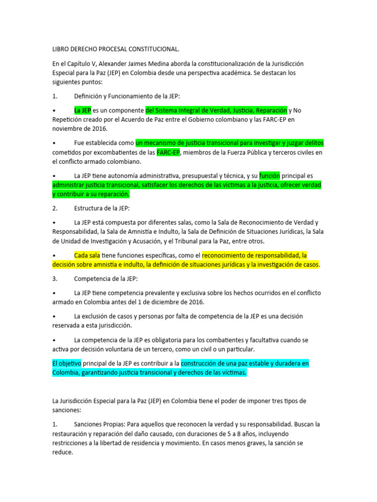 Libro Derecho Procesal Constitucional | PDF | Constitución | Amnistía