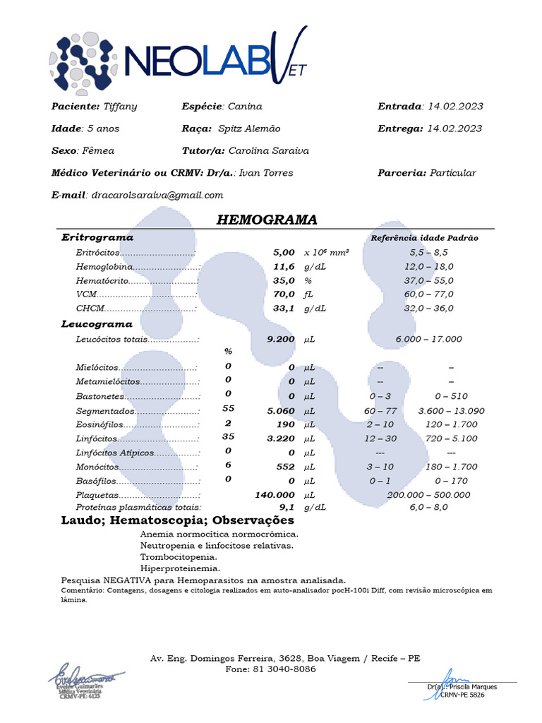 Hemograma e Bioquímica Canina Tiffany | PDF | Sangue | Fluidos corporais