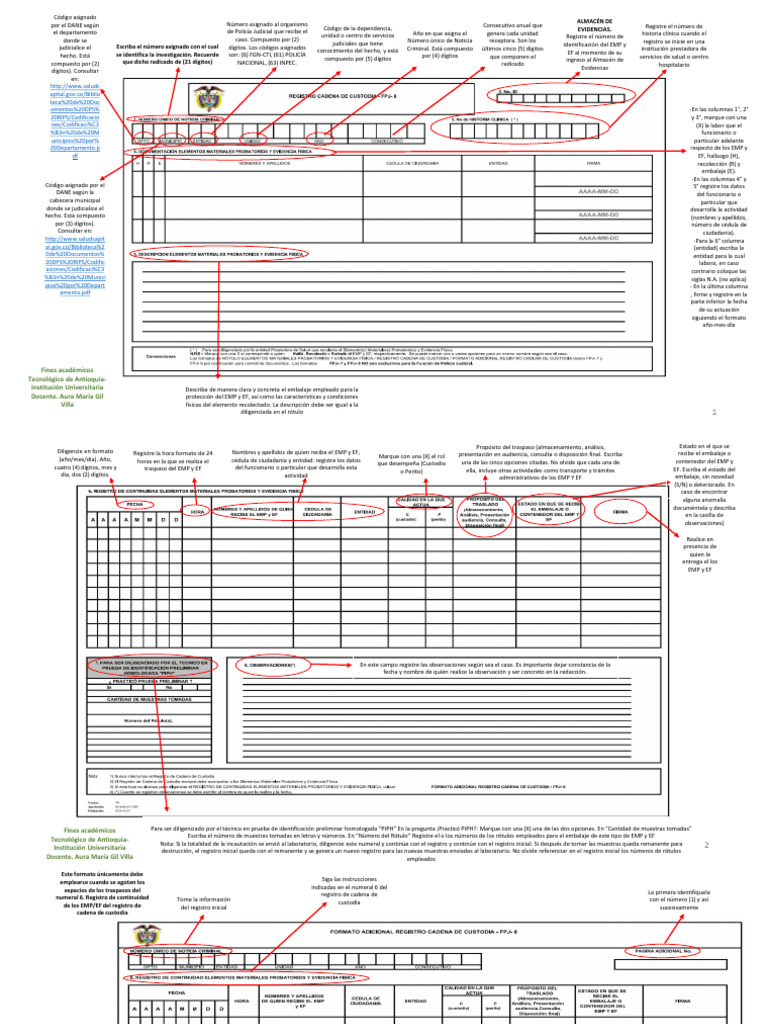 Formatos Explicados | PDF