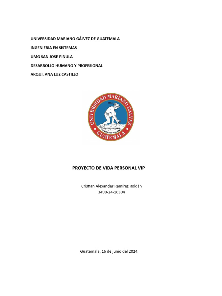Proyecto Vip | PDF | Ingeniería de Sistemas