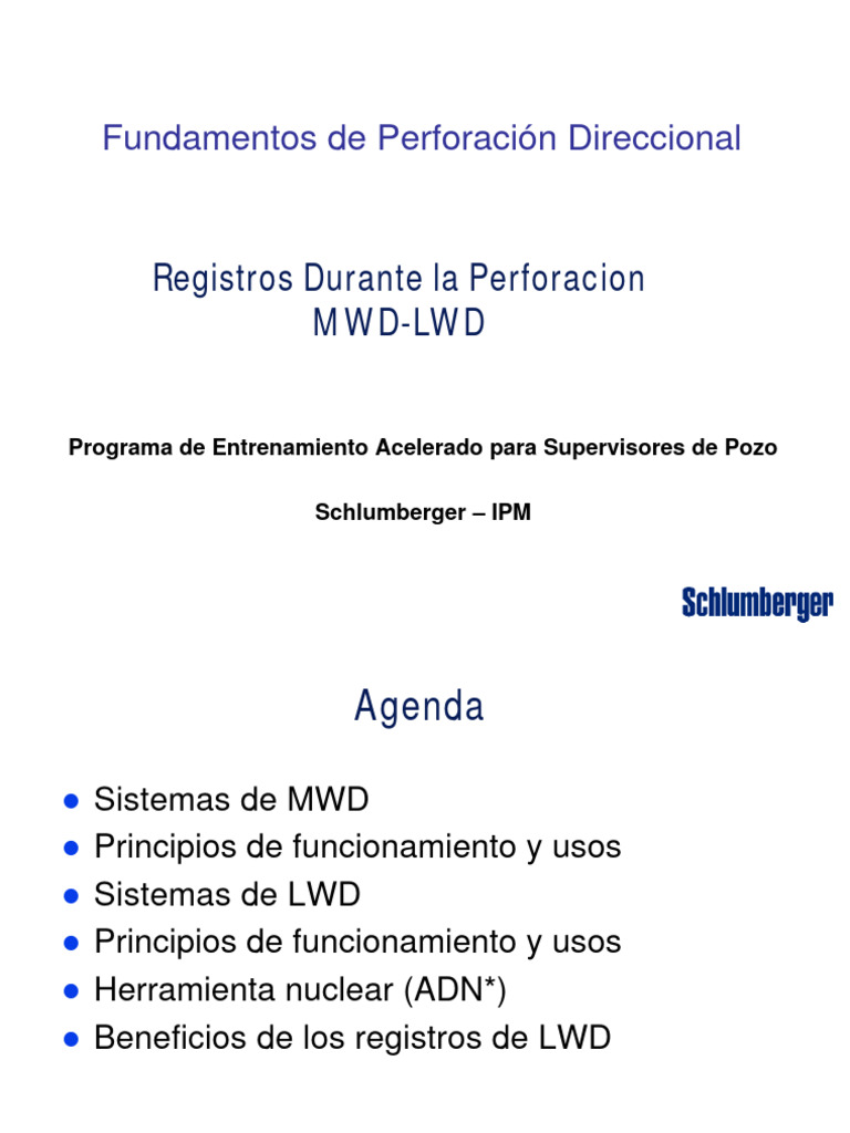 Registros MWD y LWD en Perforación | PDF | Fenomeno fisico
