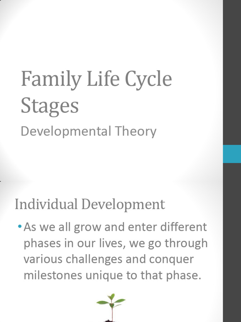 Family Life Cycle Stages | PDF | Adolescence | Cognition