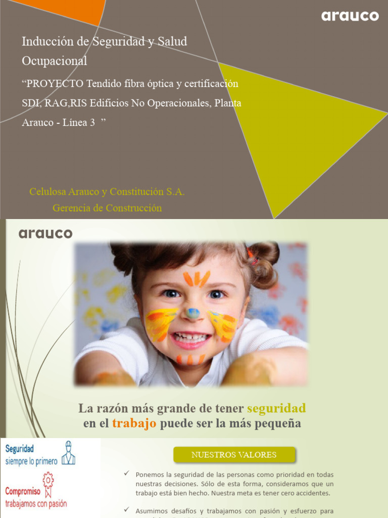 Inducción BASE SSO | PDF