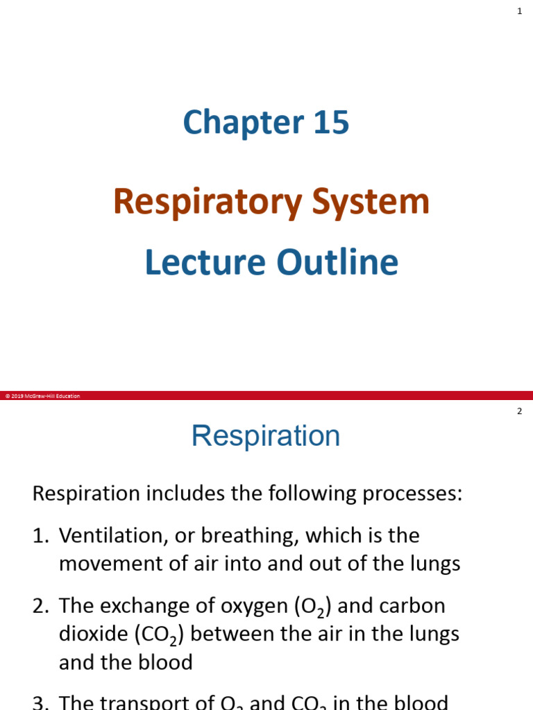 CHAPTER15 | PDF | Lung | Respiratory Tract