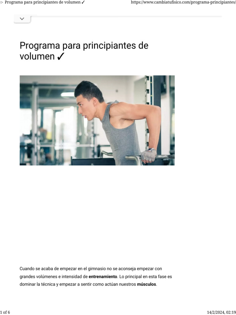 Programa de entrenamiento de volumen | PDF | Entrenamiento con pesas | Ejercicio físico