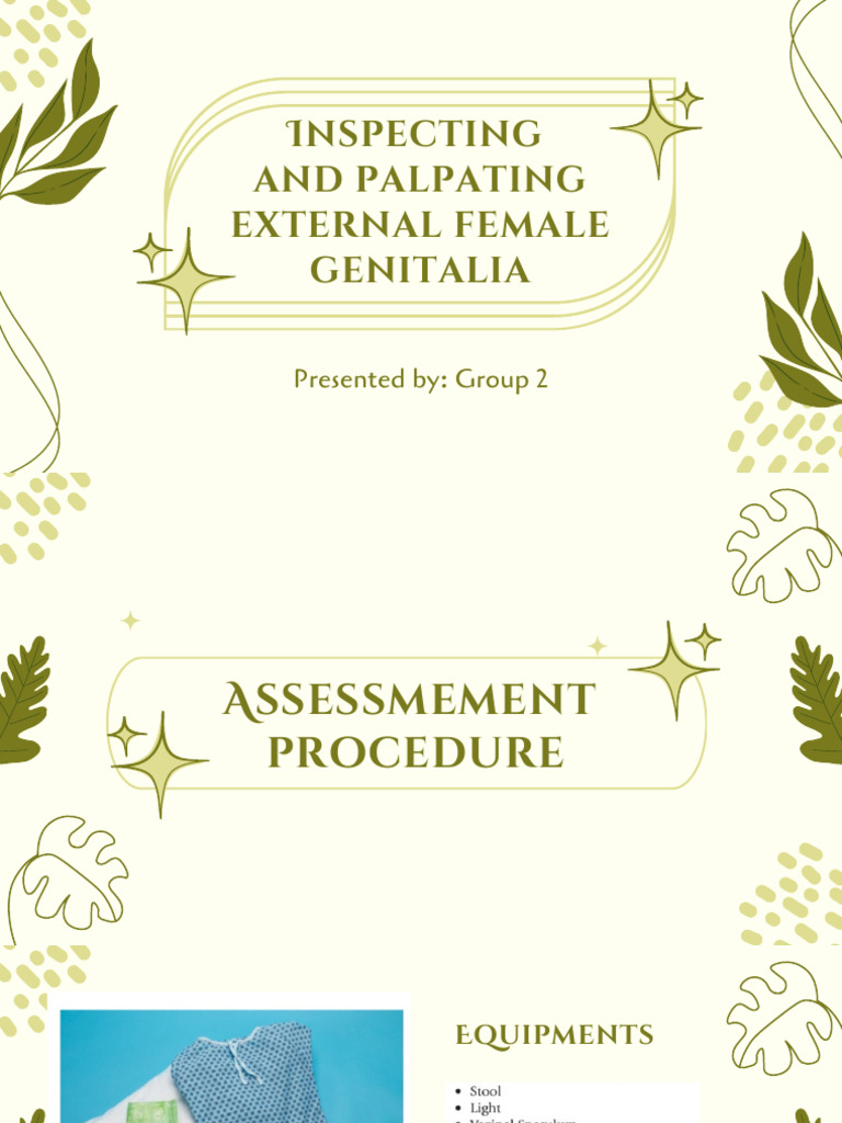 External Genitalia Assessment Procedure | PDF | Labia | Vagina