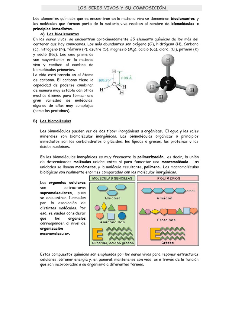 anexo 1-segundo | PDF