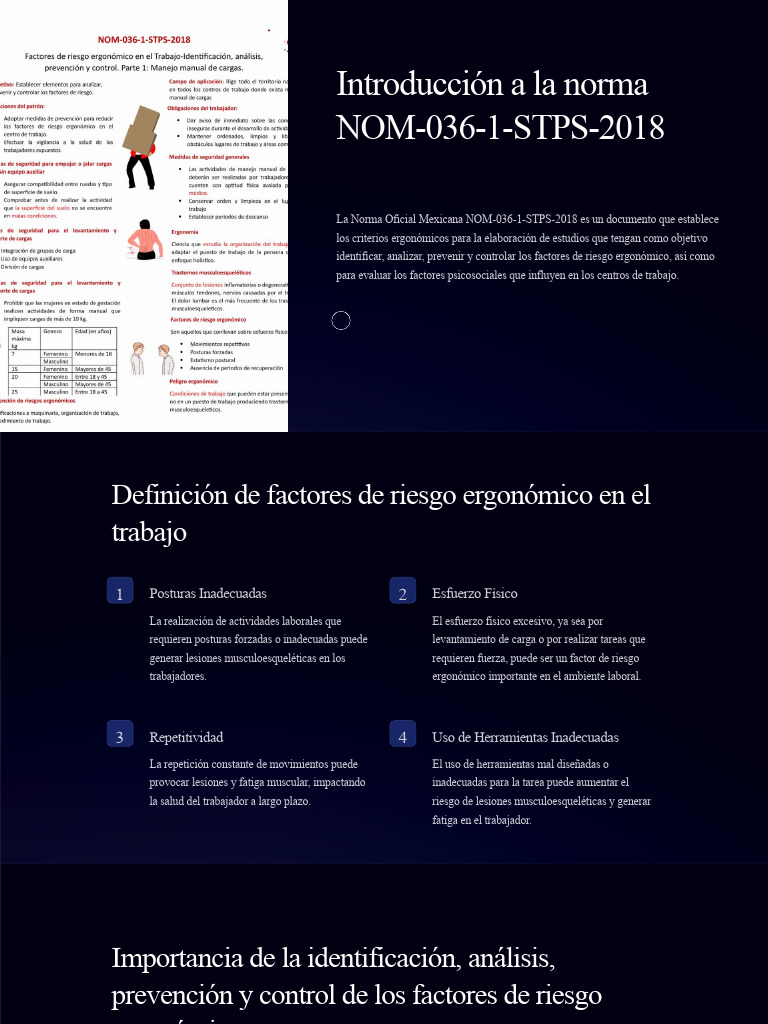Introduccion A La Norma Nom 036 1 Stps 2018 | PDF | Factores humanos y ...
