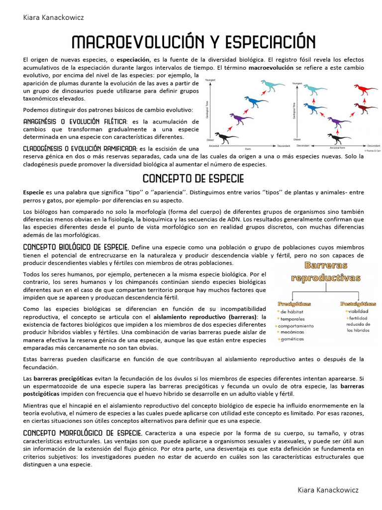 C25 - Macroevolución y Especiación | PDF | Evolución | Filogenética