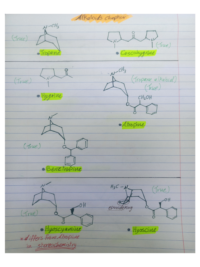 Alkaloids Chapter Structures | PDF