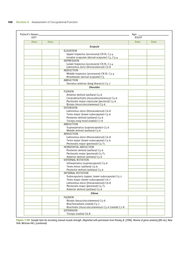 MMT Recording Manual Muscle Strength | PDF | Anatomical Terms Of Motion ...