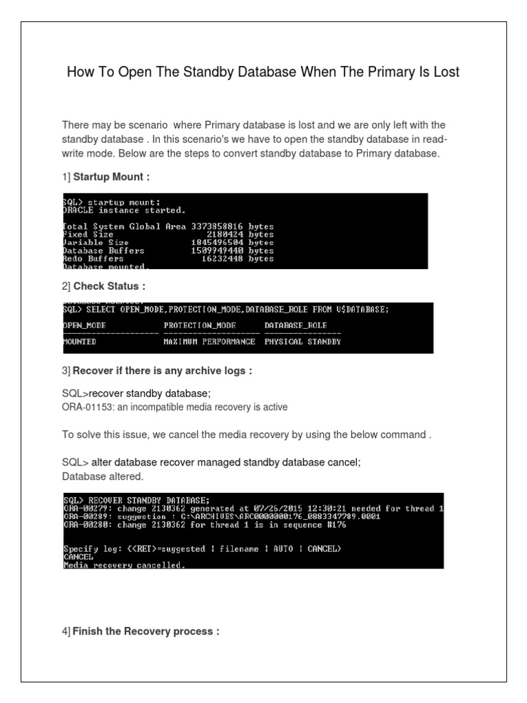 Steps To Open Standby Database When Primary DB Is LOST | PDF | Finance & Money Management ...