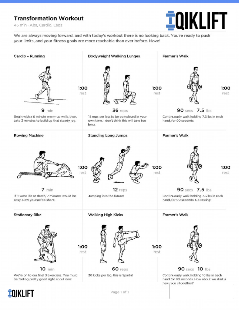 Mens Transform 13 | PDF