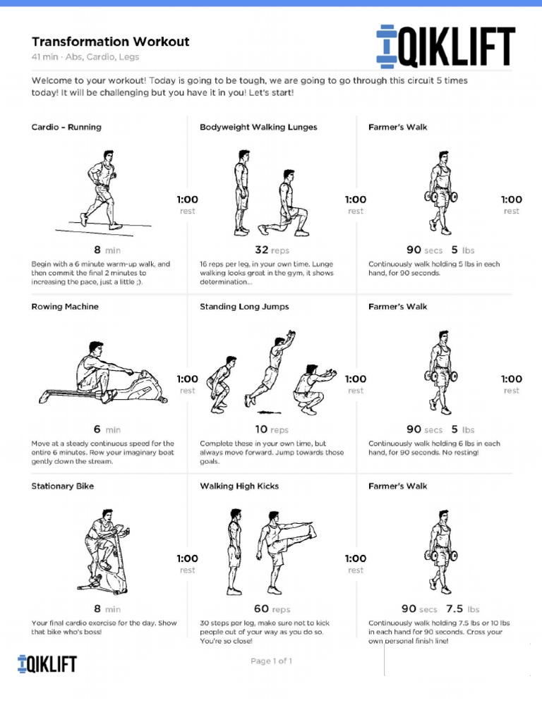 Mens Transform 7 | PDF