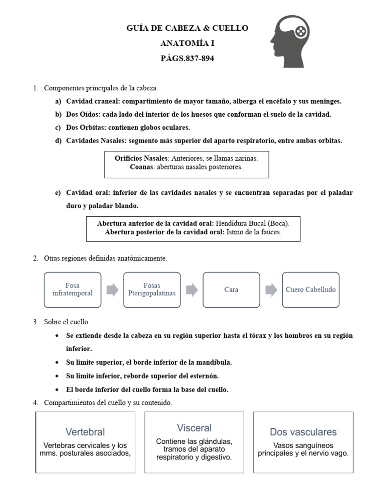 Anatomía De Cabeza Y Cuello Pdf Cráneo Nariz Humana