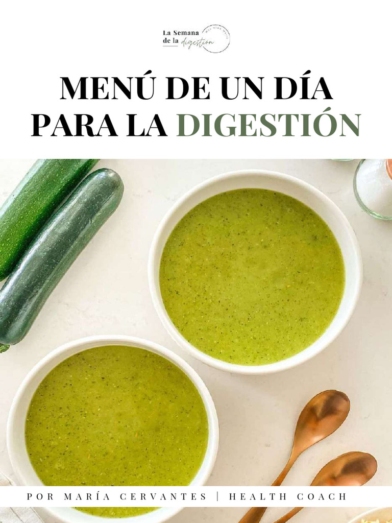 Menu de Un Dia para La Digestion | PDF | Caldo | Cocinando