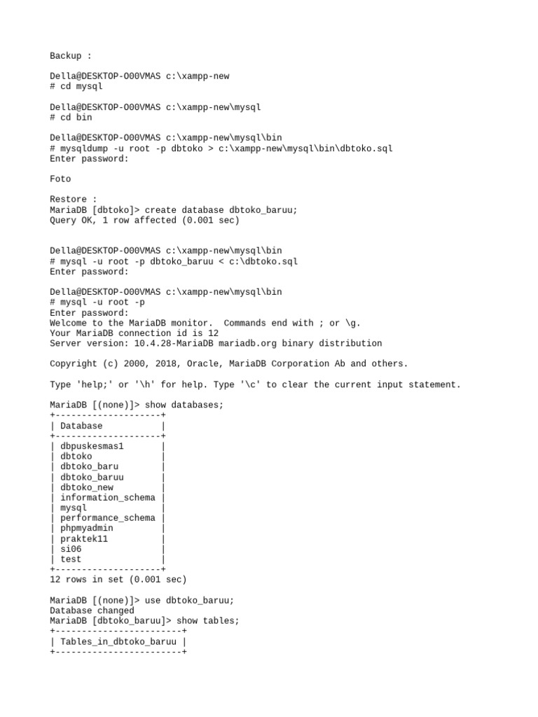 Backup and Restore | PDF